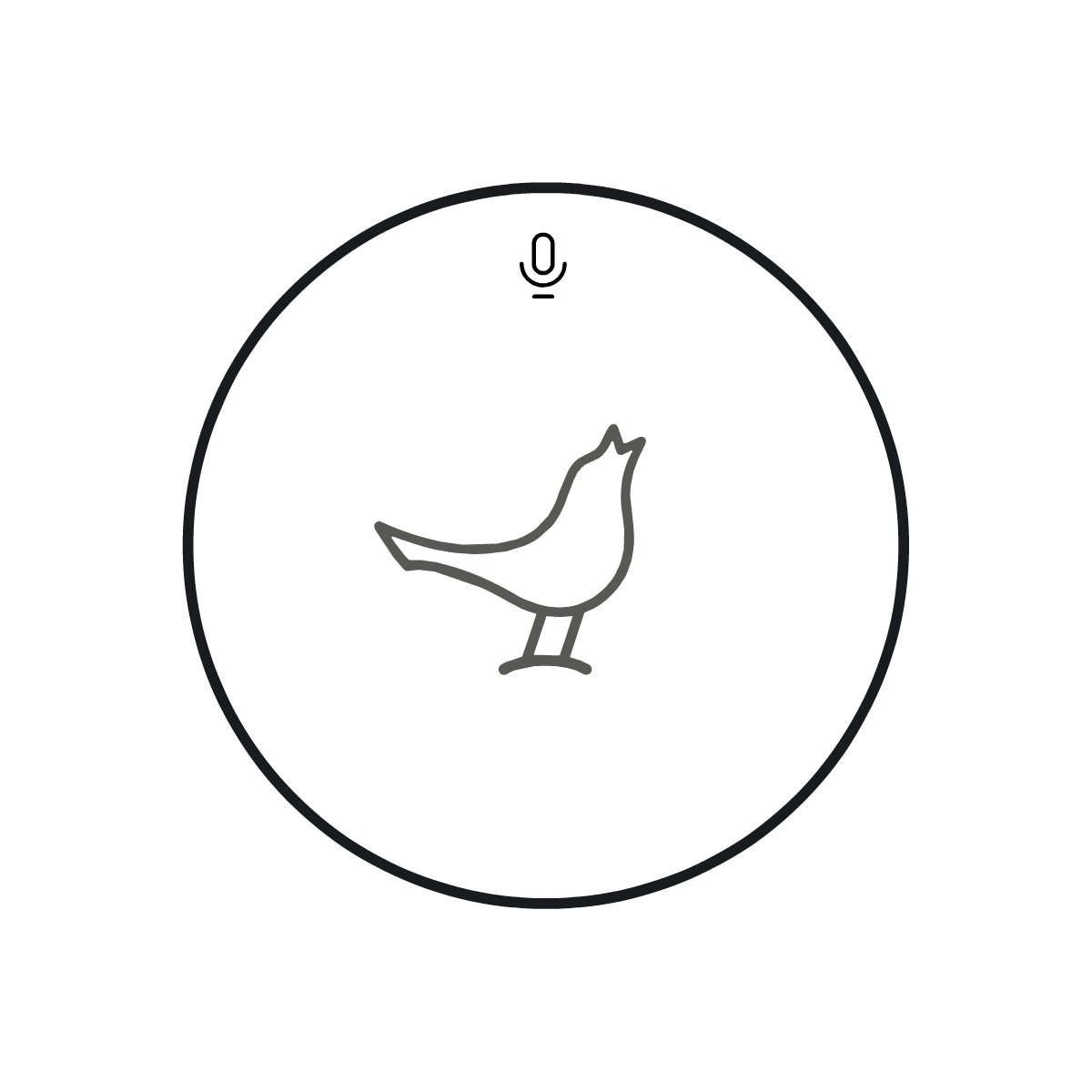 Libratone Guide